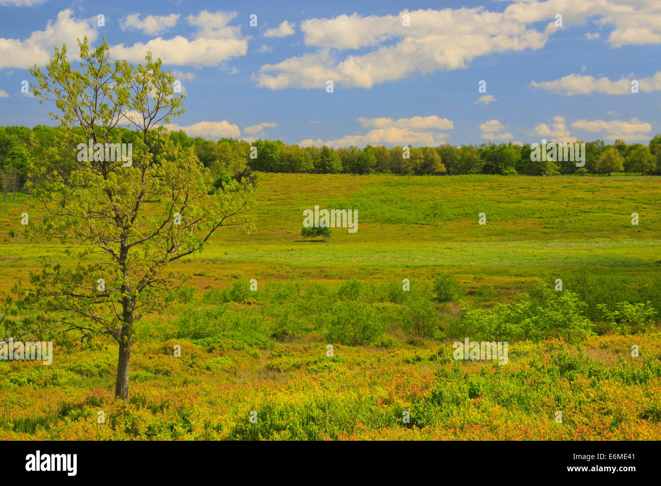 Big Meadows, Shenandoah National Park, Virginia, USA Stock Photo - Alamy
