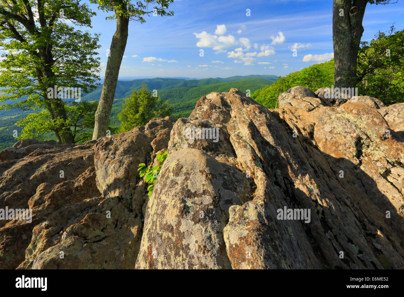 Jewell hi-res stock photography and images - Alamy