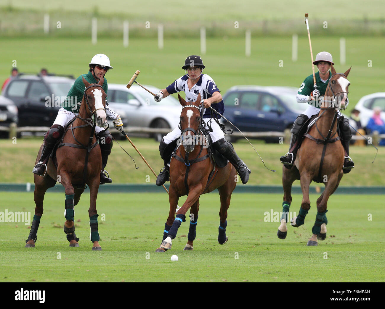 Miguel polo polo hi-res stock photography and images - Alamy