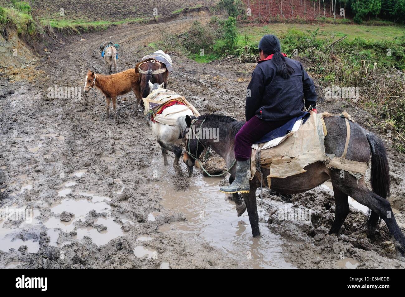 Route for collecting potatoes in Cruzpata - CHACHAPOYAS . Department of ...