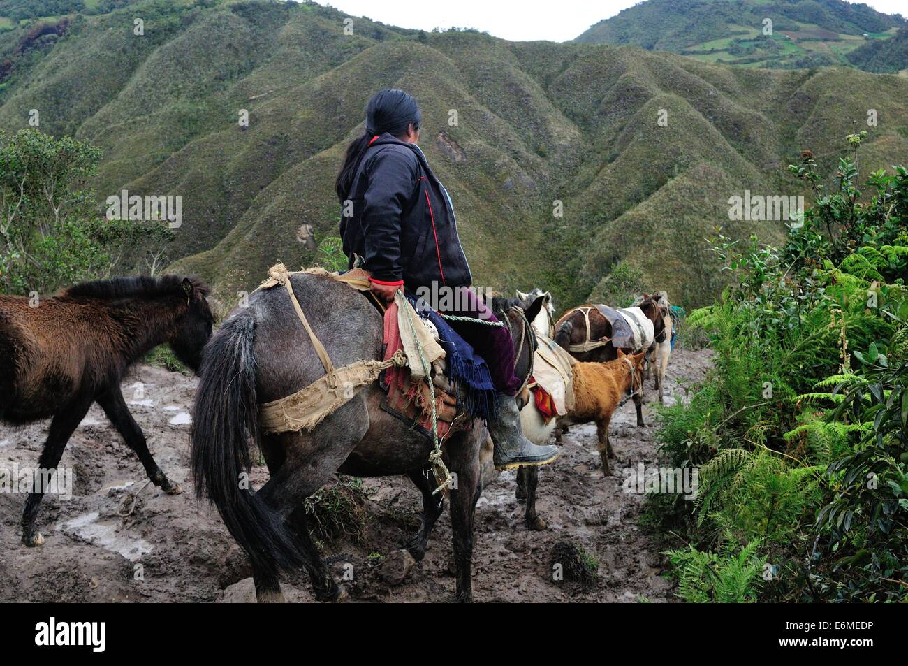 Route for collecting potatoes in Cruzpata - CHACHAPOYAS . Department of ...