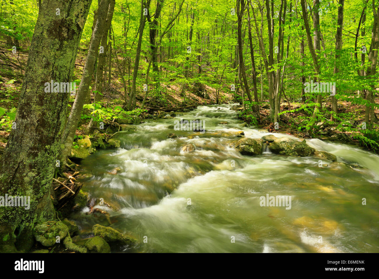 Rose River, Shenandoah National Park, Virginia, USA Stock Photo - Alamy
