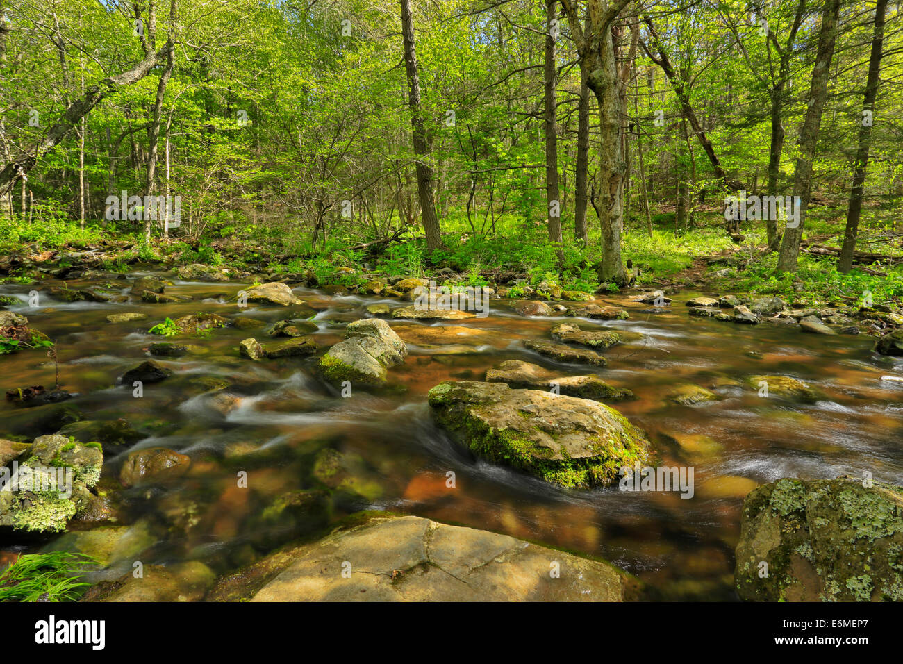 Middle Prong Trail, Shenandoah National Park, Virginia, USA Stock Photo ...