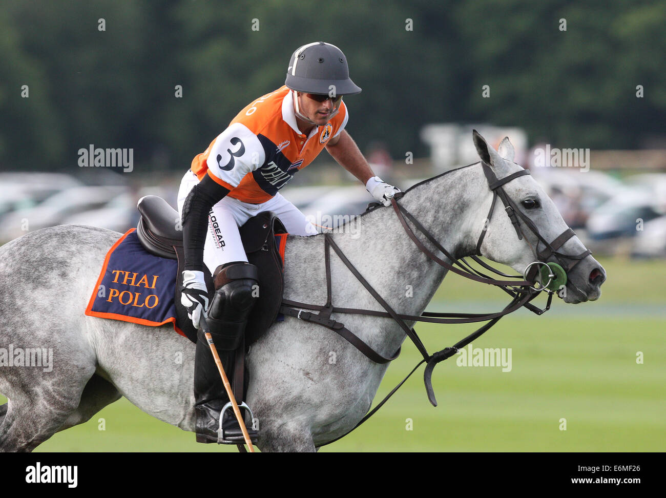 Nic Roldan (second left ) plays for Thai Polo team in the 2013 Veuve ...