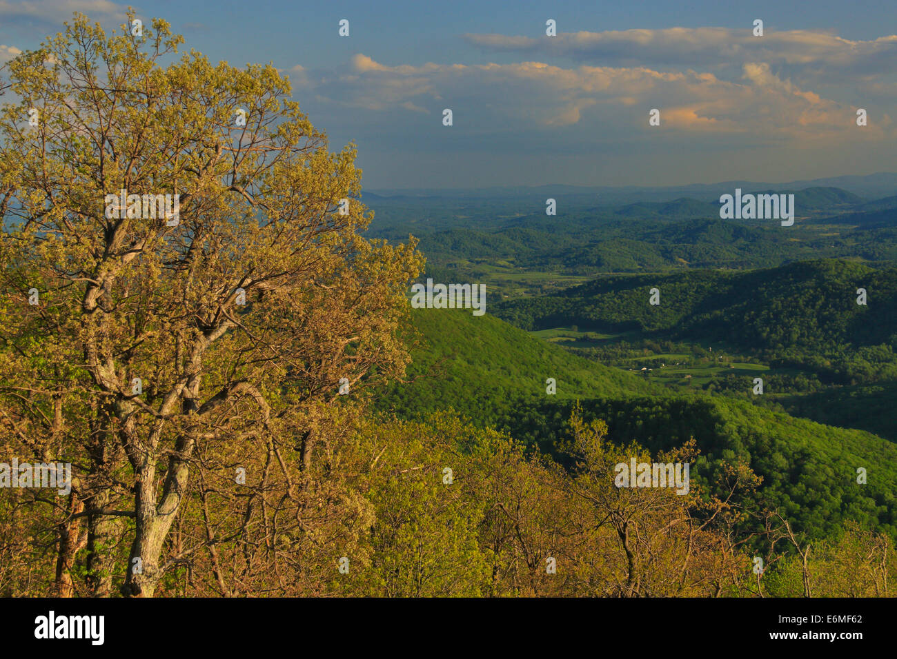 Range View Overlook, Shenandoah National Park, Virginia, USA Stock ...