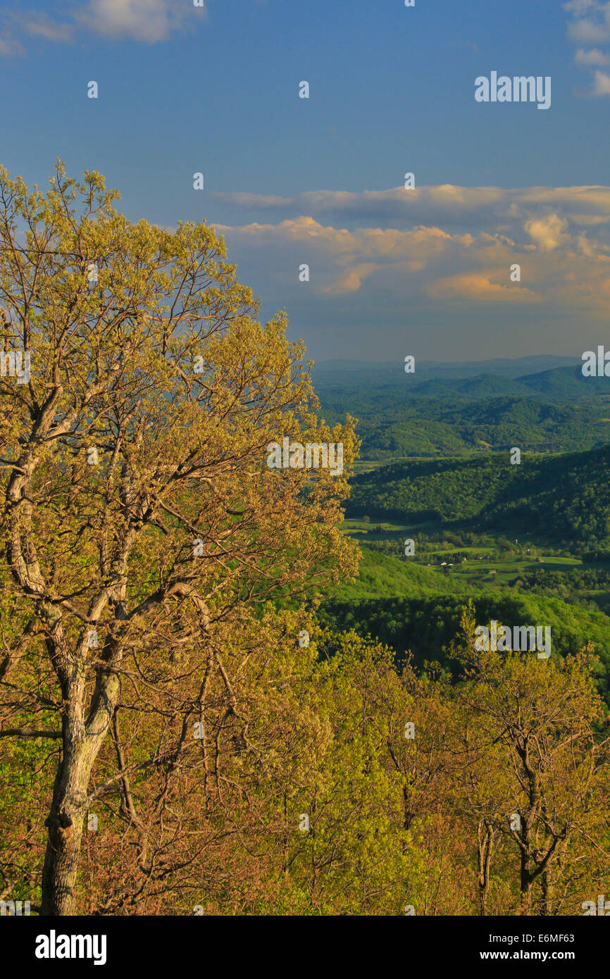 Range View Overlook, Shenandoah National Park, Virginia, USA Stock ...
