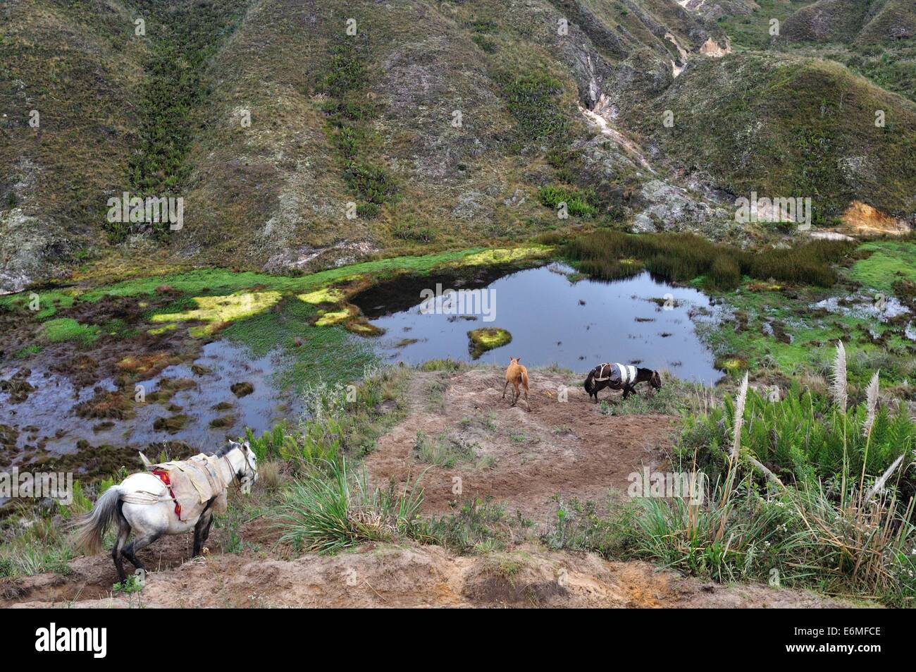 Route for collecting potatoes in Cruzpata - CHACHAPOYAS . Department of ...