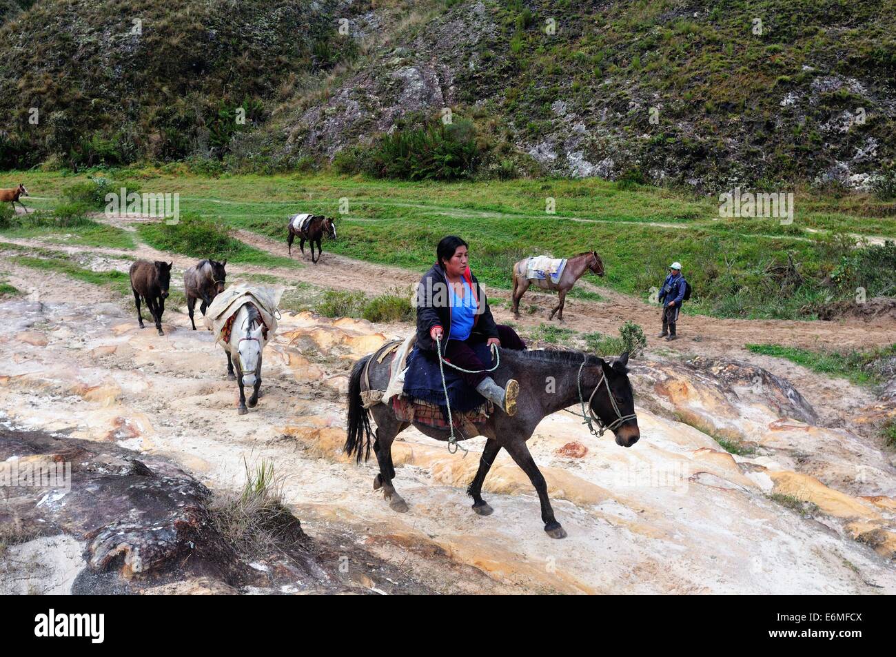 Route for collecting potatoes in Cruzpata - CHACHAPOYAS . Department of ...