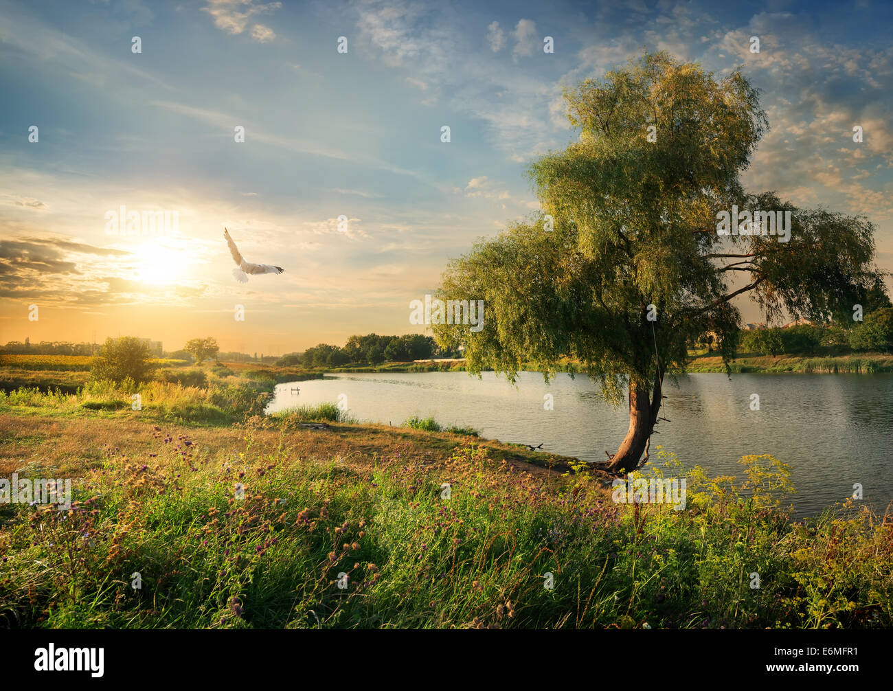 Summer sun in the countryside hi-res stock photography and images - Alamy