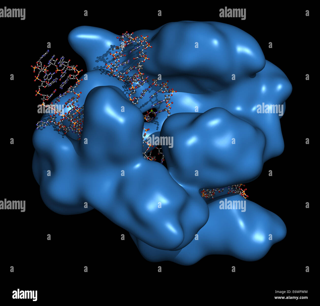 CRISPR-CAS9 gene editing complex from Streptococcus pyogenes. The Cas9 ...