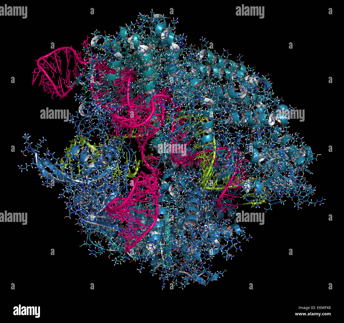 CRISPR-CAS9 gene editing complex from Streptococcus pyogenes. The Cas9 ...