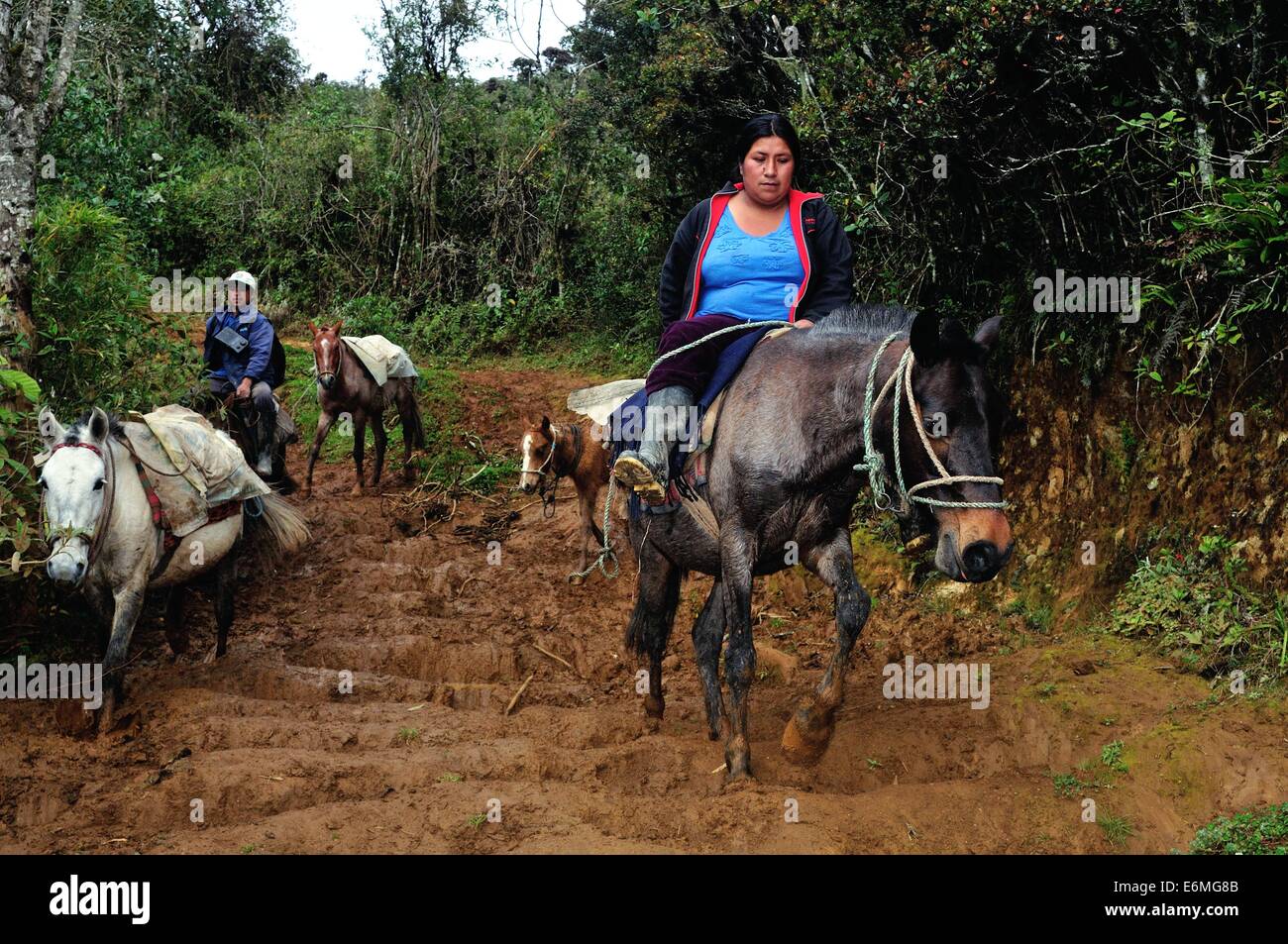 Route for collecting potatoes in Cruzpata - CHACHAPOYAS . Department of ...
