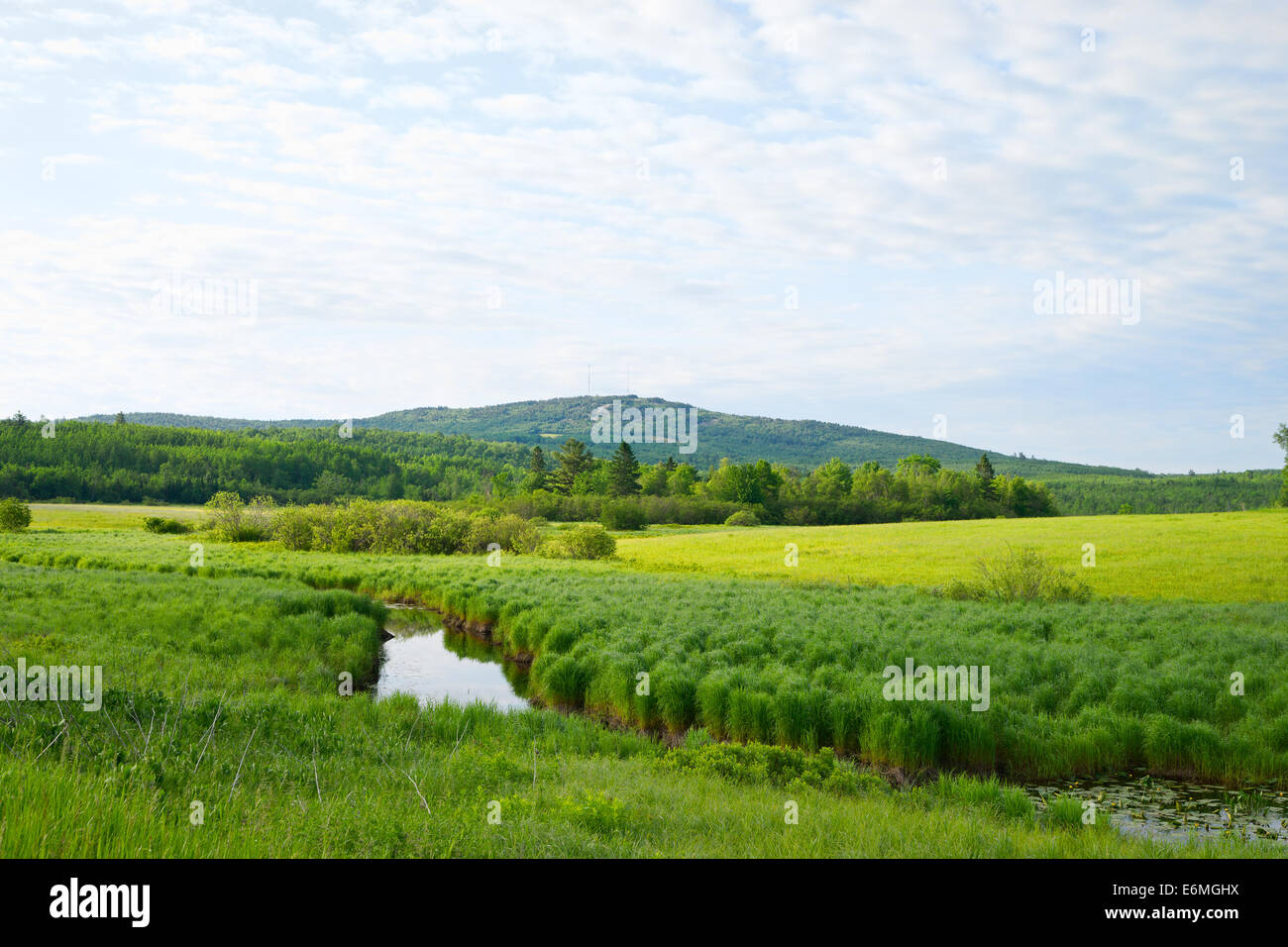 A slow moving stream flowing through the rural countryside of Maine in ...