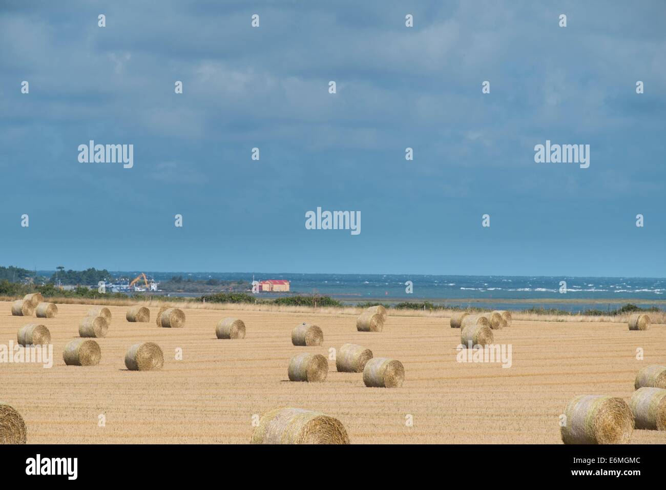 Coastal stubble field with round bales, Wells-next-the-sea, England ...