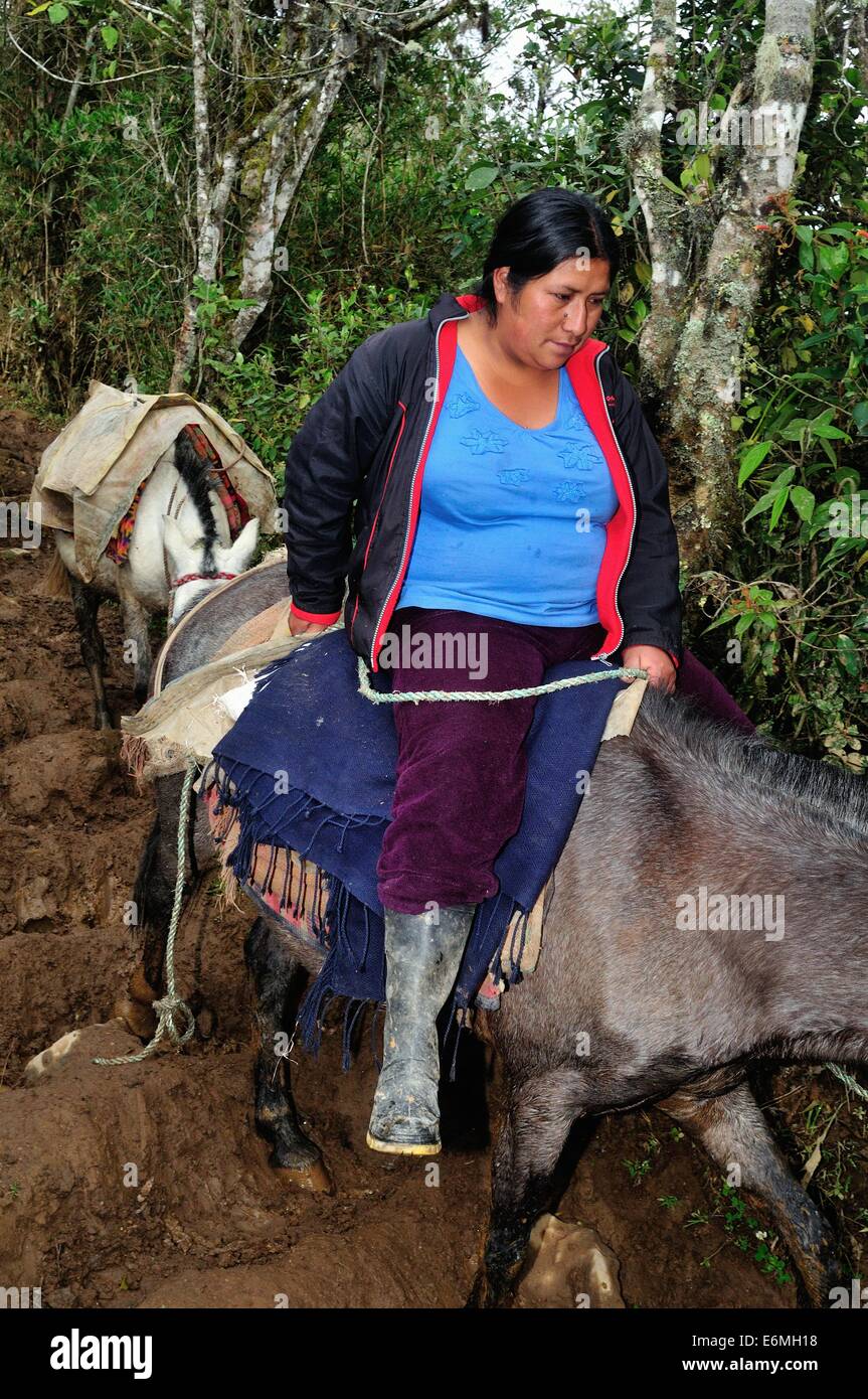 Route for collecting potatoes in Cruzpata - CHACHAPOYAS . Department of ...