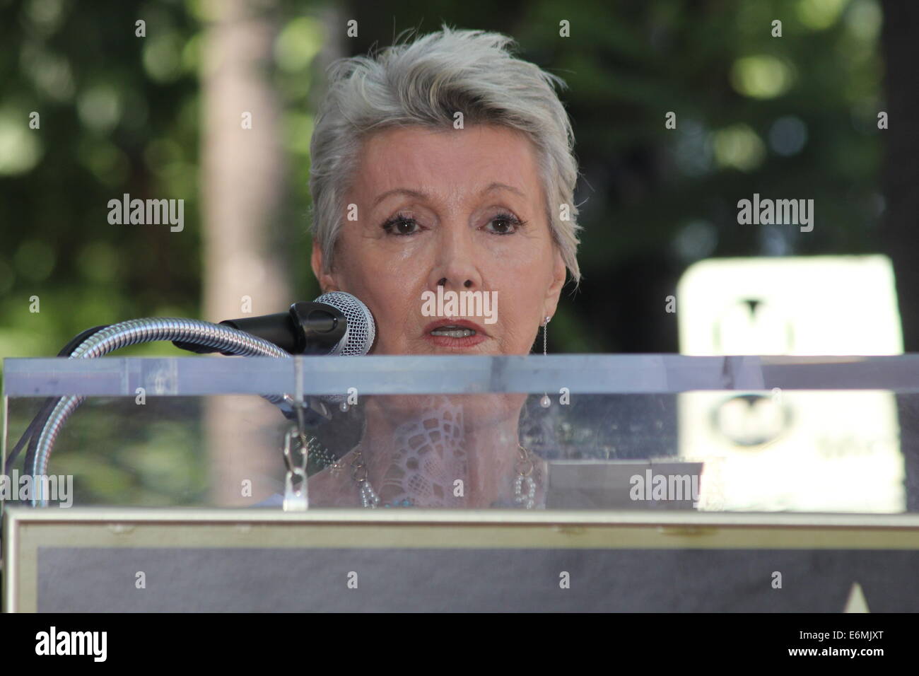 Hollywood, California, USA. 26th Aug, 2014. I15688CHW.The Late Phil ...