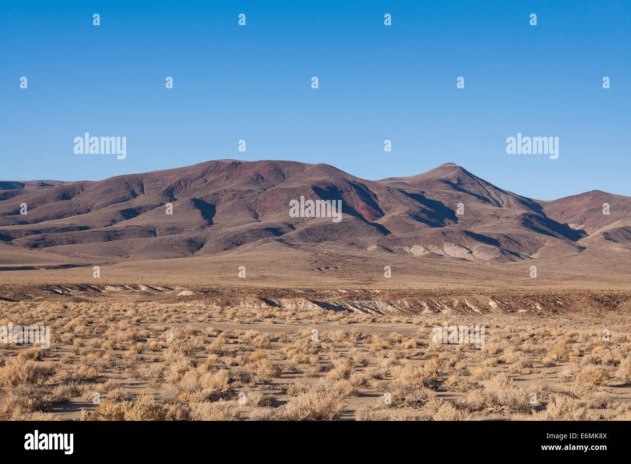 Mojave desert floor - California USA Stock Photo - Alamy