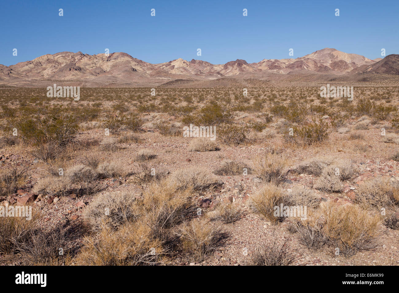 Mojave desert floor - California USA Stock Photo - Alamy