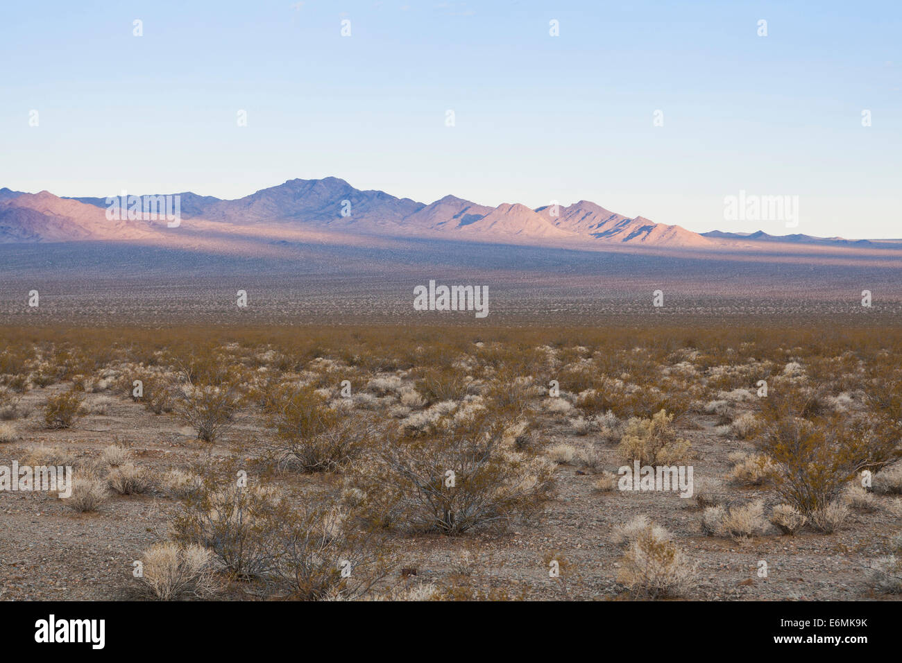 Mojave desert floor landscape hi-res stock photography and images - Alamy