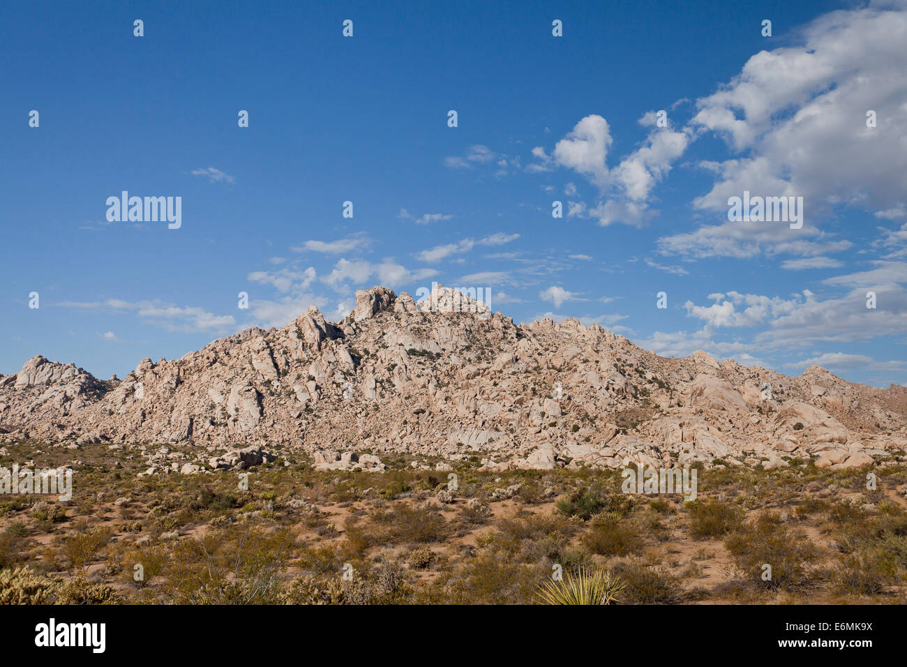 Mojave desert hi-res stock photography and images - Alamy