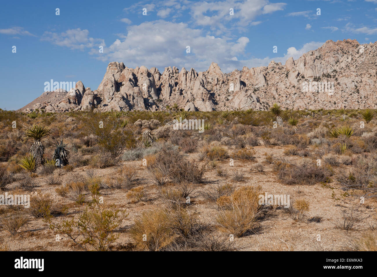 Monzogranite rock formation - Mojave desert, California USA Stock Photo ...