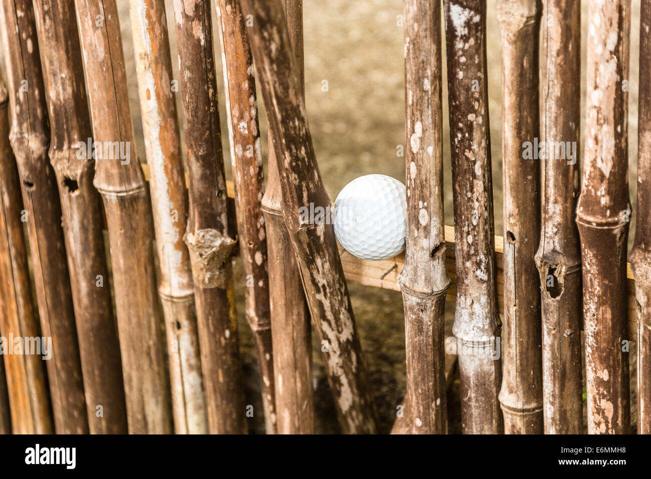 Stuck between fence hi-res stock photography and images - Alamy