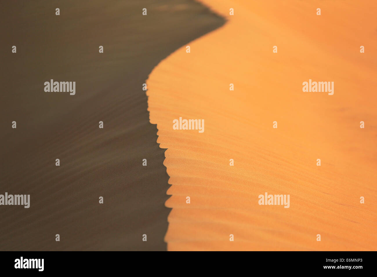 Ridge of a sand dune, Rub' al Khali desert, United Arab Emirates Stock ...