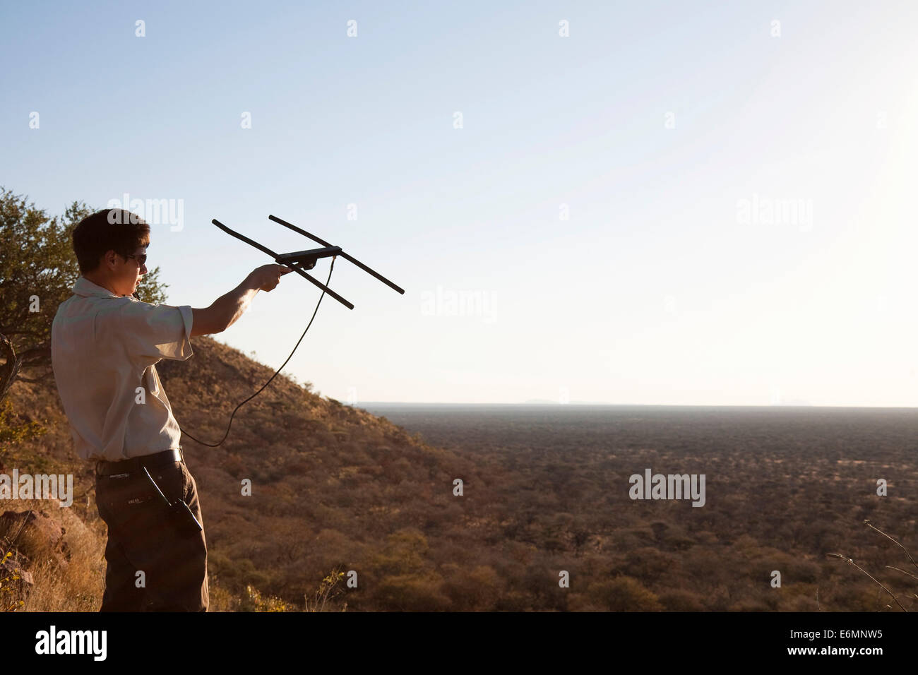 Man is radio tracking a leopard at the Okonjima Lodge, Namibia Stock ...