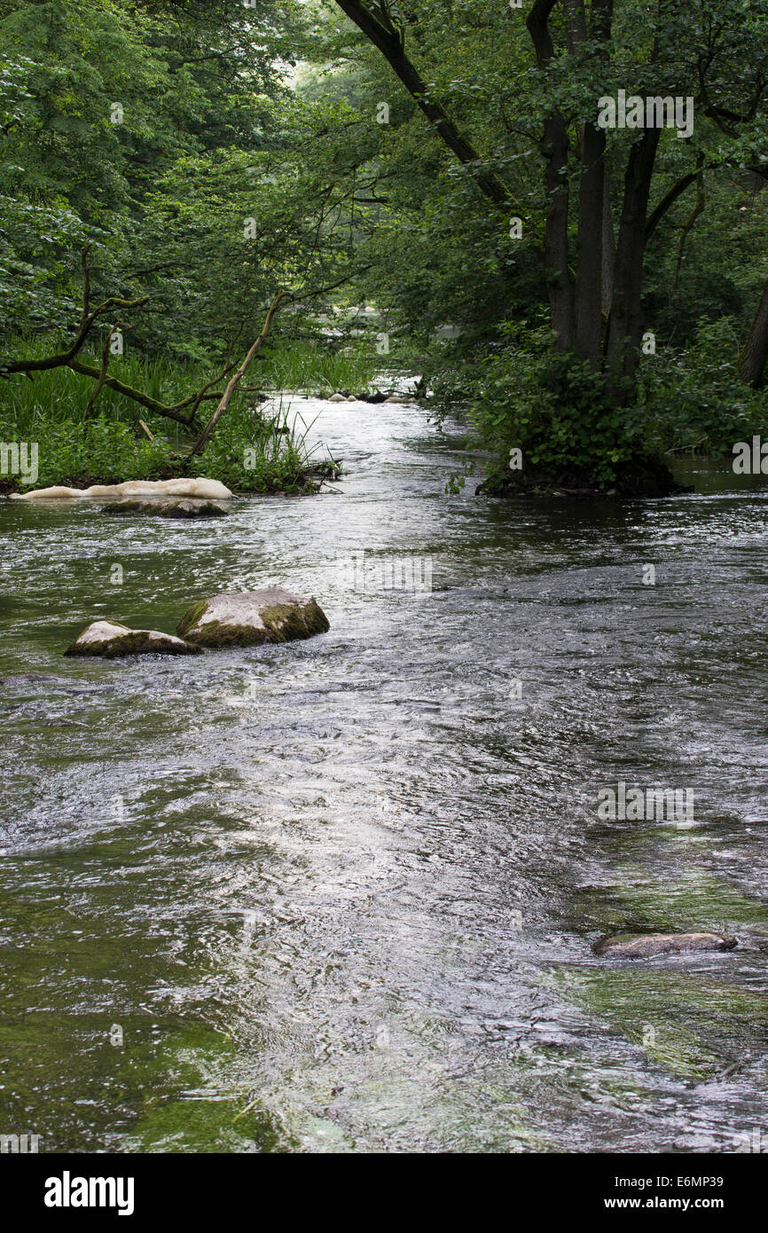 Bachlauf fluss hi-res stock photography and images - Alamy