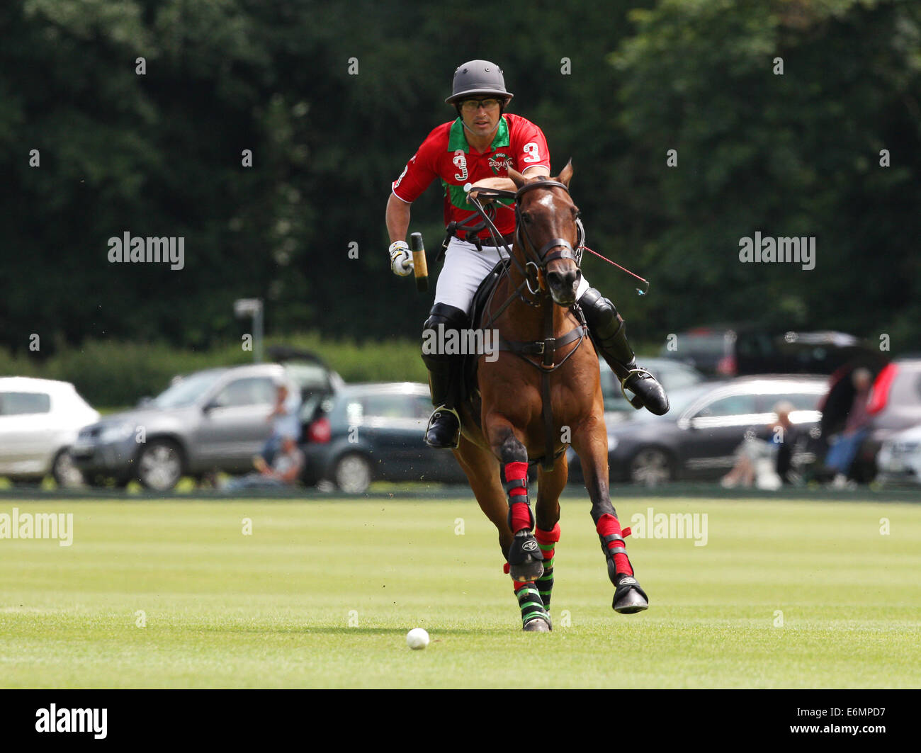 Hilario Ulloa plays for the Sumaya Polo team in the 2013 Veuve Clicquot ...