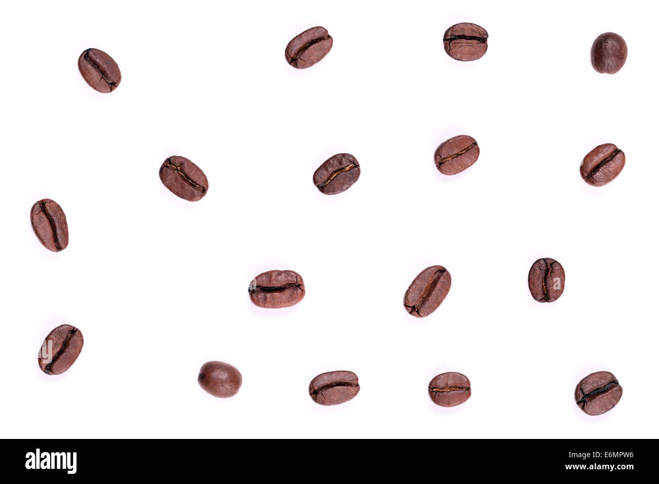 High resolution of coffee beans on a white background Stock Photo - Alamy