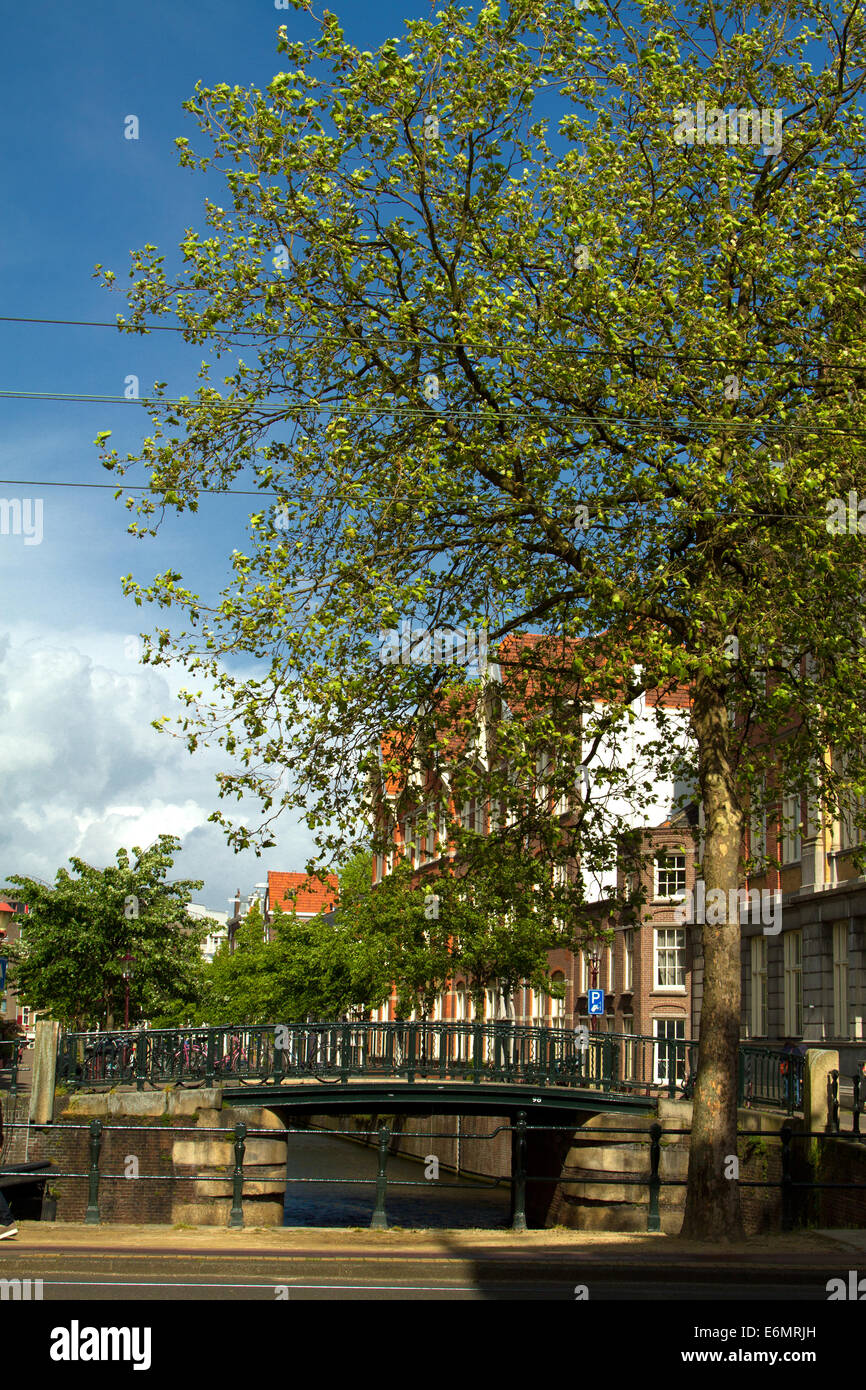 Amsterdam in summer Stock Photo - Alamy