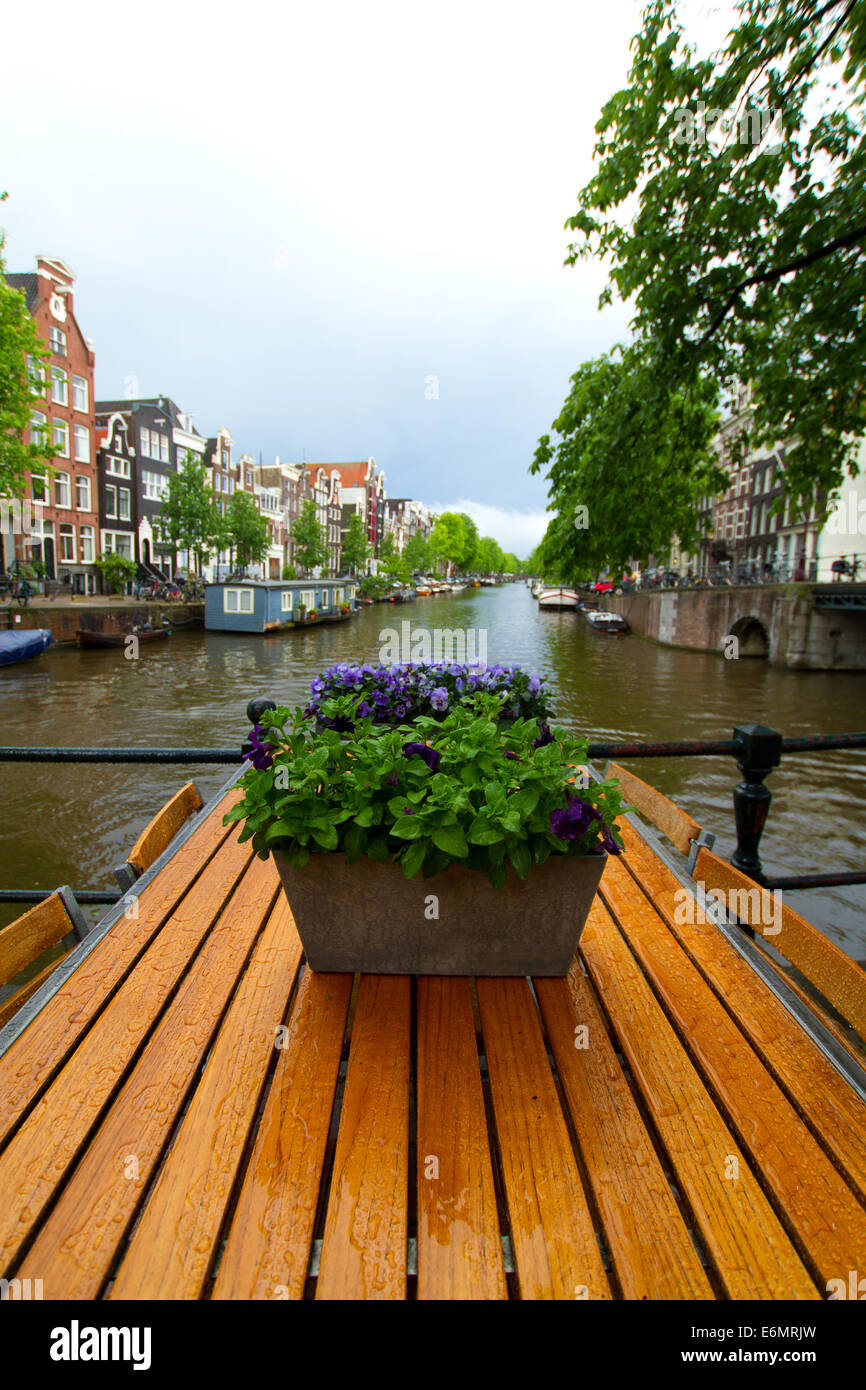 Amsterdam in summer Stock Photo - Alamy