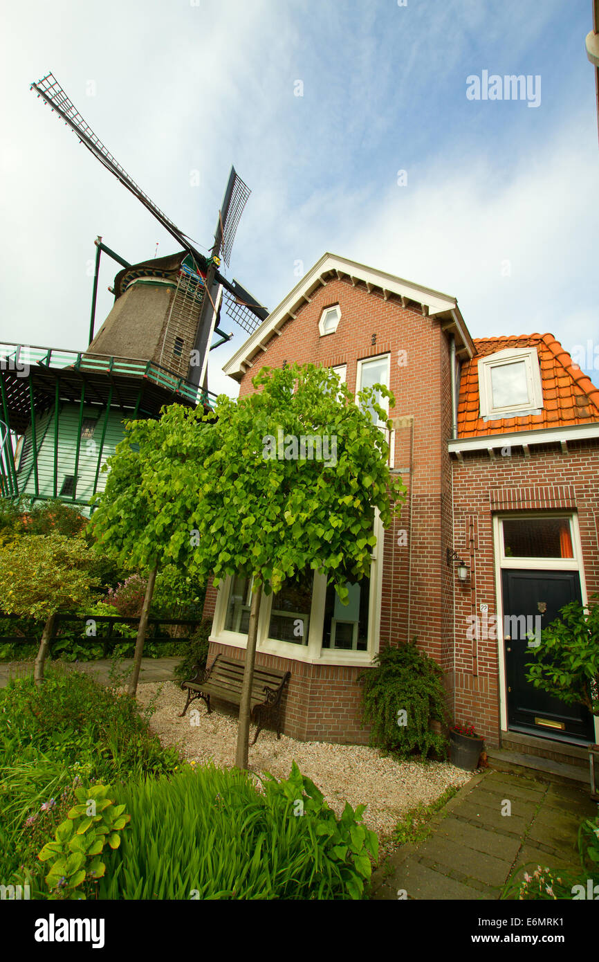 Traditional dutch windmills Stock Photo - Alamy