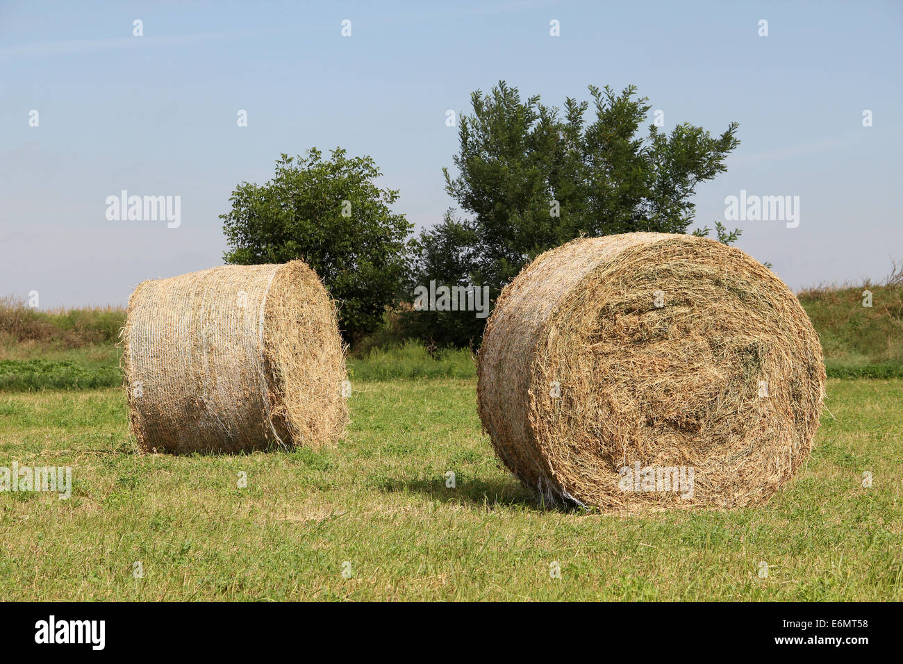 Two rolls bale harvesting in the landscape Stock Photo - Alamy