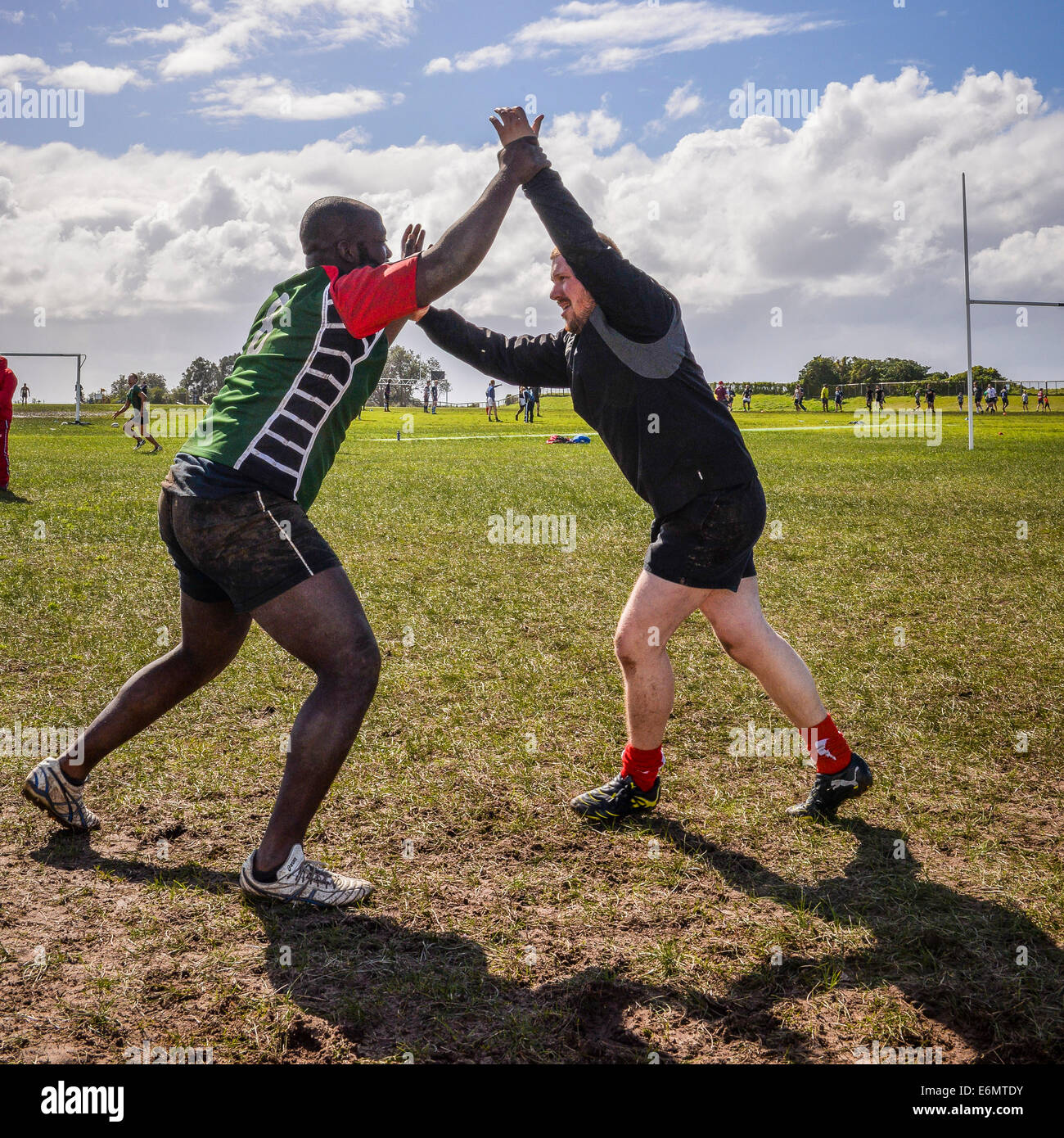 Wallabies rugby union training session hi-res stock photography and ...