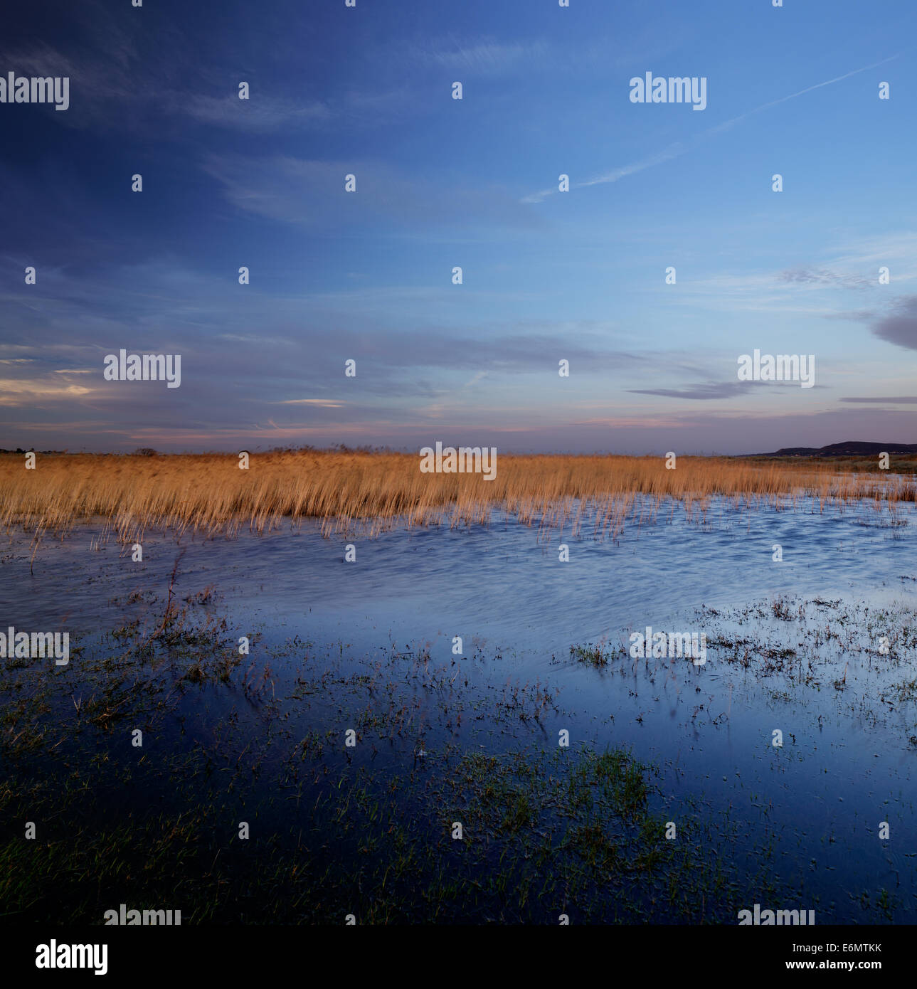 Beautiful sky on a windy day at down Stock Photo - Alamy