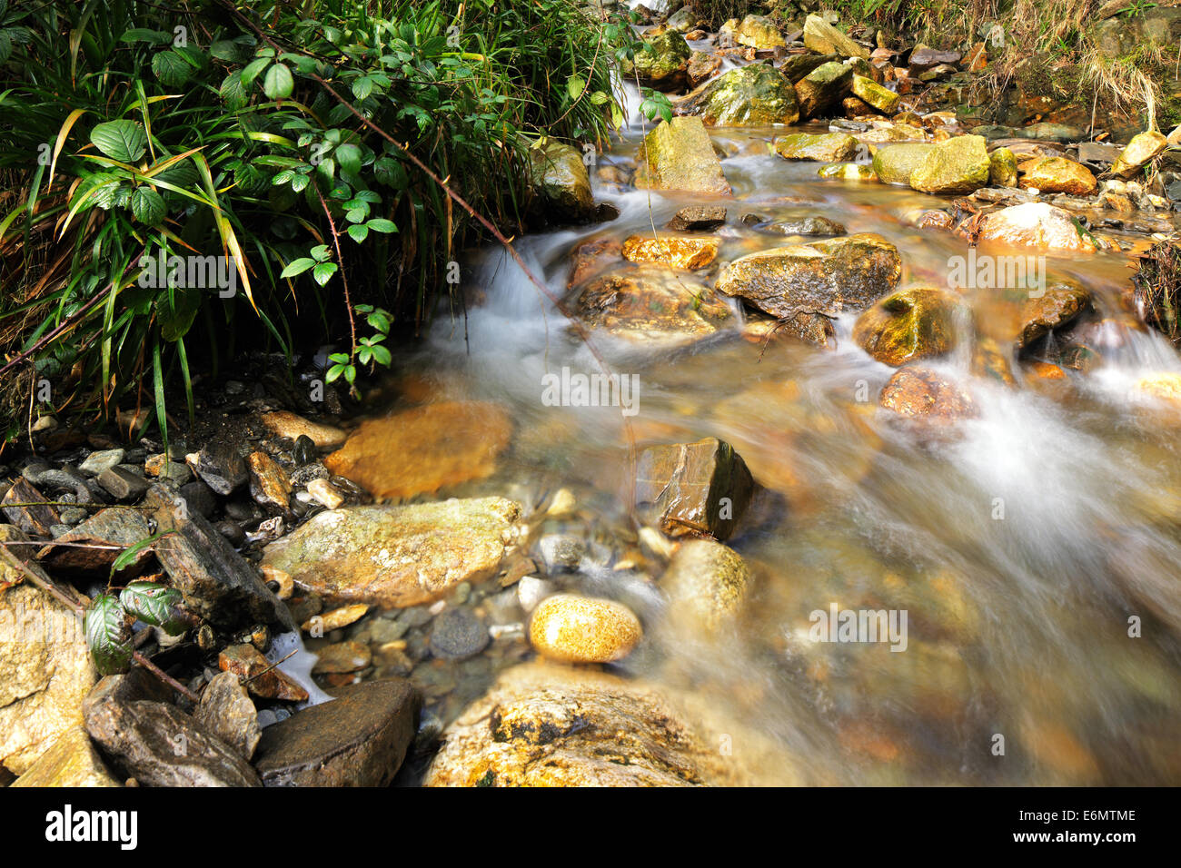 Beautiful mountain stream rain forest hi-res stock photography and ...