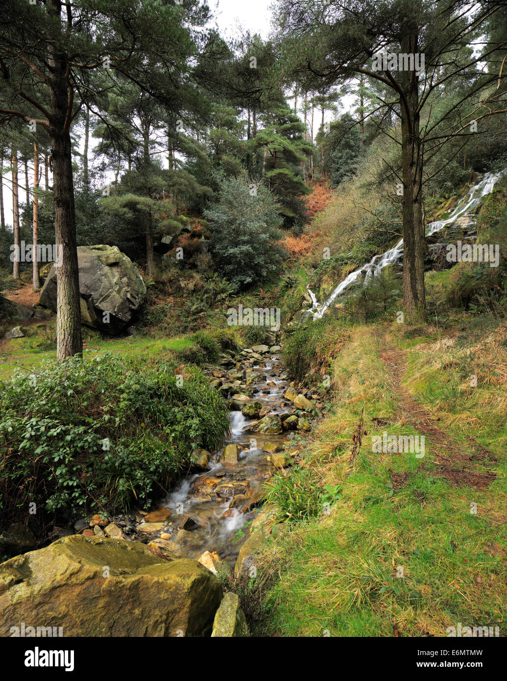 Stream in the forest surrounded by a beautiful scenic Stock Photo - Alamy