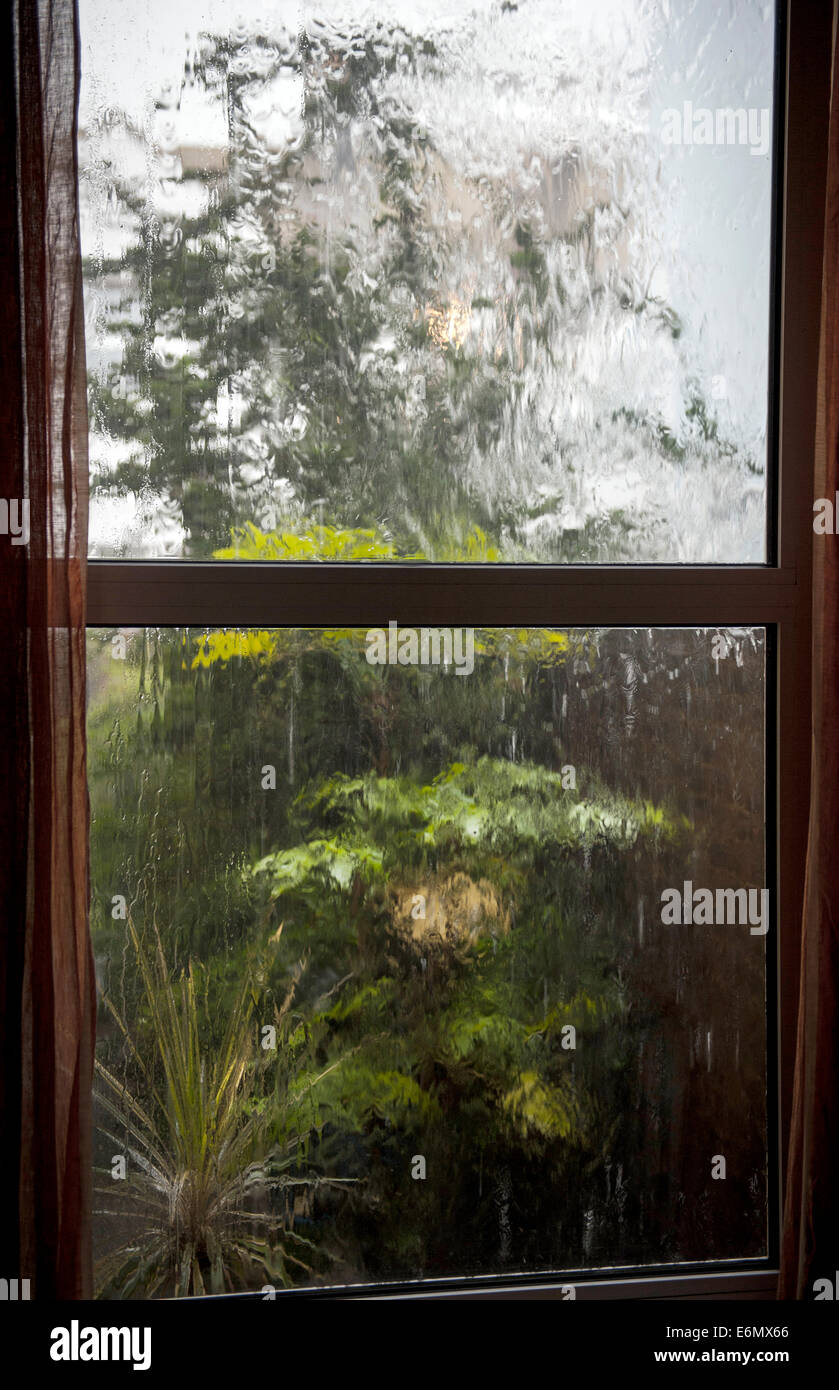 heavy summer rain streaming down a window Stock Photo - Alamy