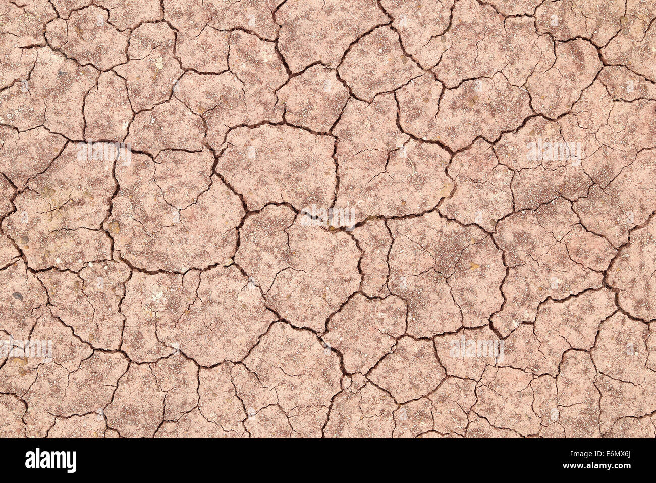 dry cracked soil texture and background on dry season Stock Photo - Alamy