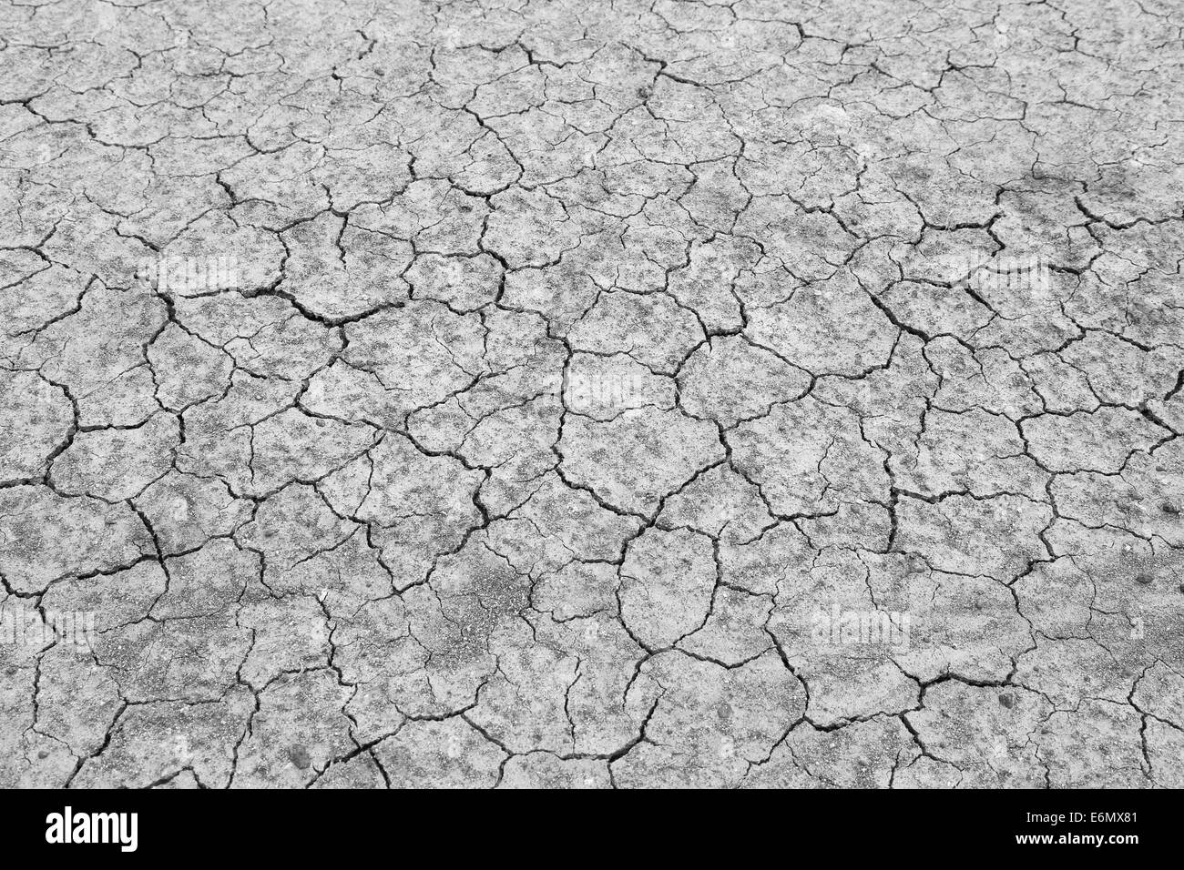 dry cracked soil texture and background on dry season (grayscale Stock ...