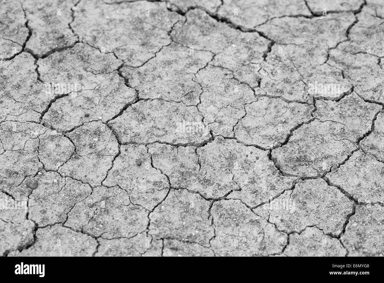 Cracked mud background texture Black and White Stock Photos & Images ...