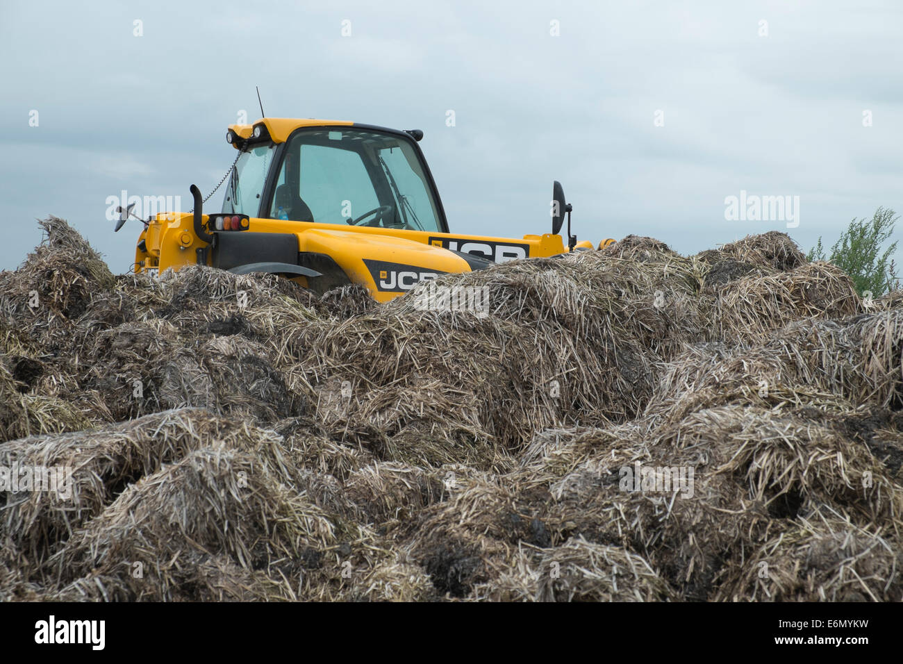 JCB parked in a field on a cloudy overcast day Stock Photo - Alamy