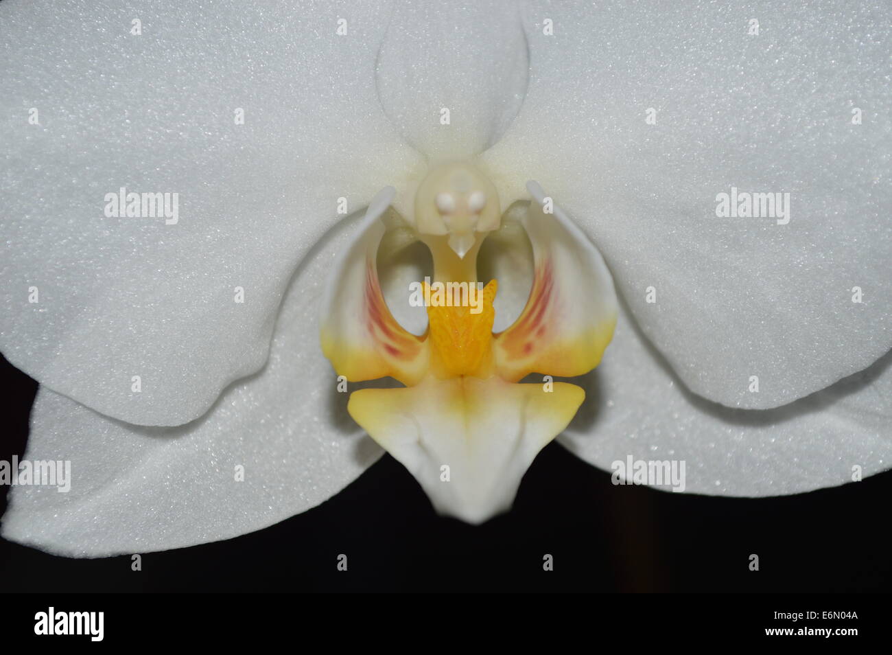 Simple but beautiful hi-res stock photography and images - Alamy