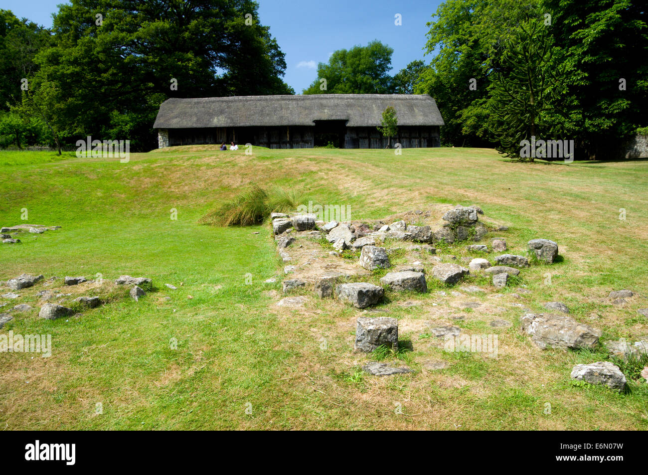 Timber framed thatched barn dating from 1550 and remains of medieval ...