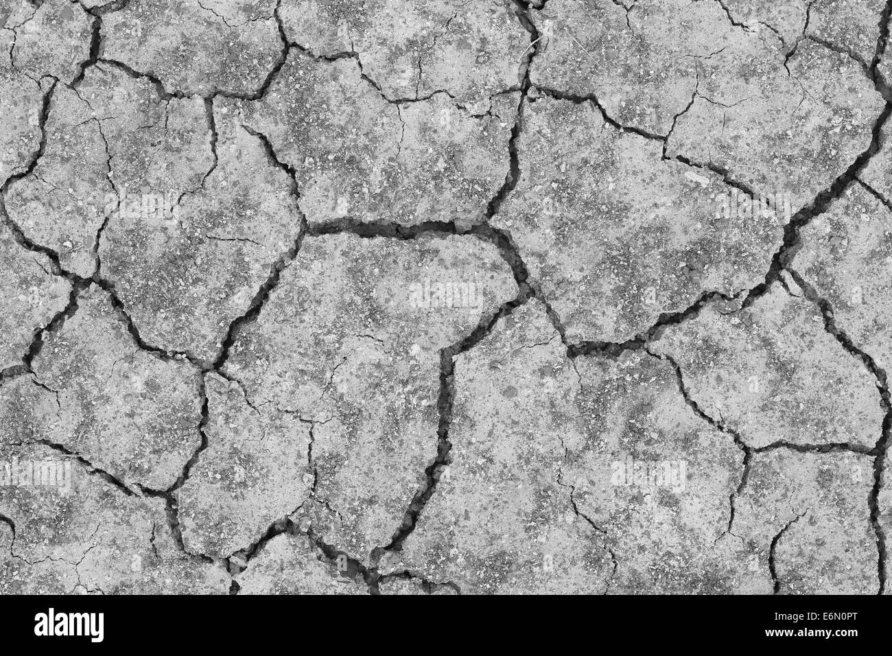close-up of dry dracked soil ground texture (grayscale Stock Photo - Alamy