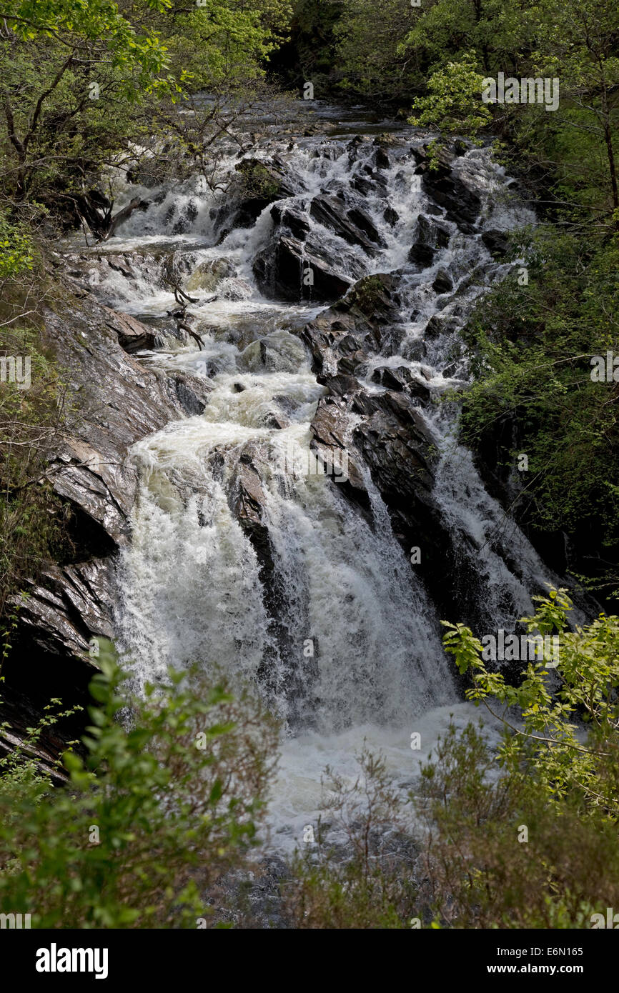 An Rhuadh Darach waterfall in oak woodland Strone Hill Argyll Isle of ...