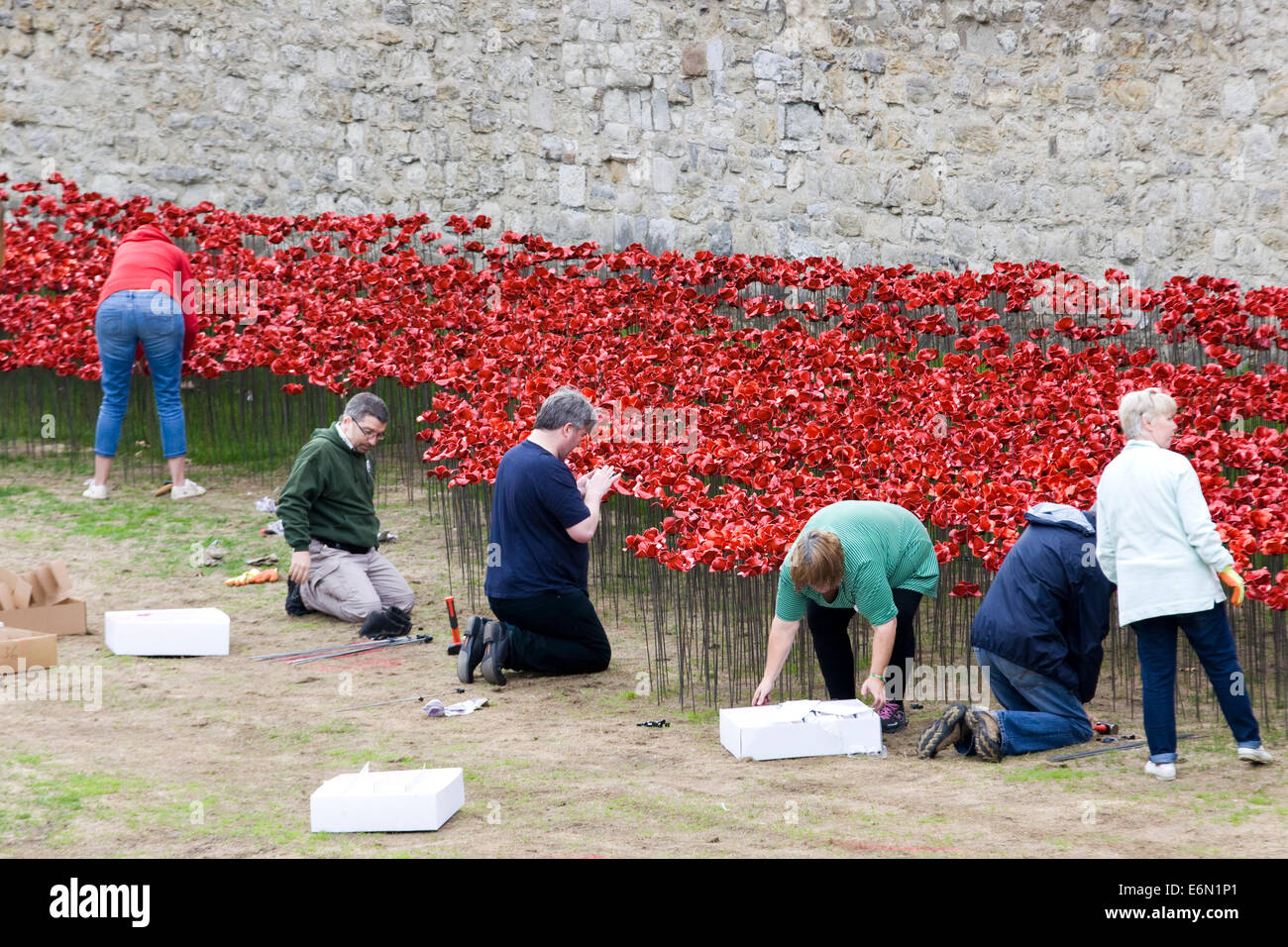 Public making and planting ceramic poppies "Blood Swept Lands and Seas ...