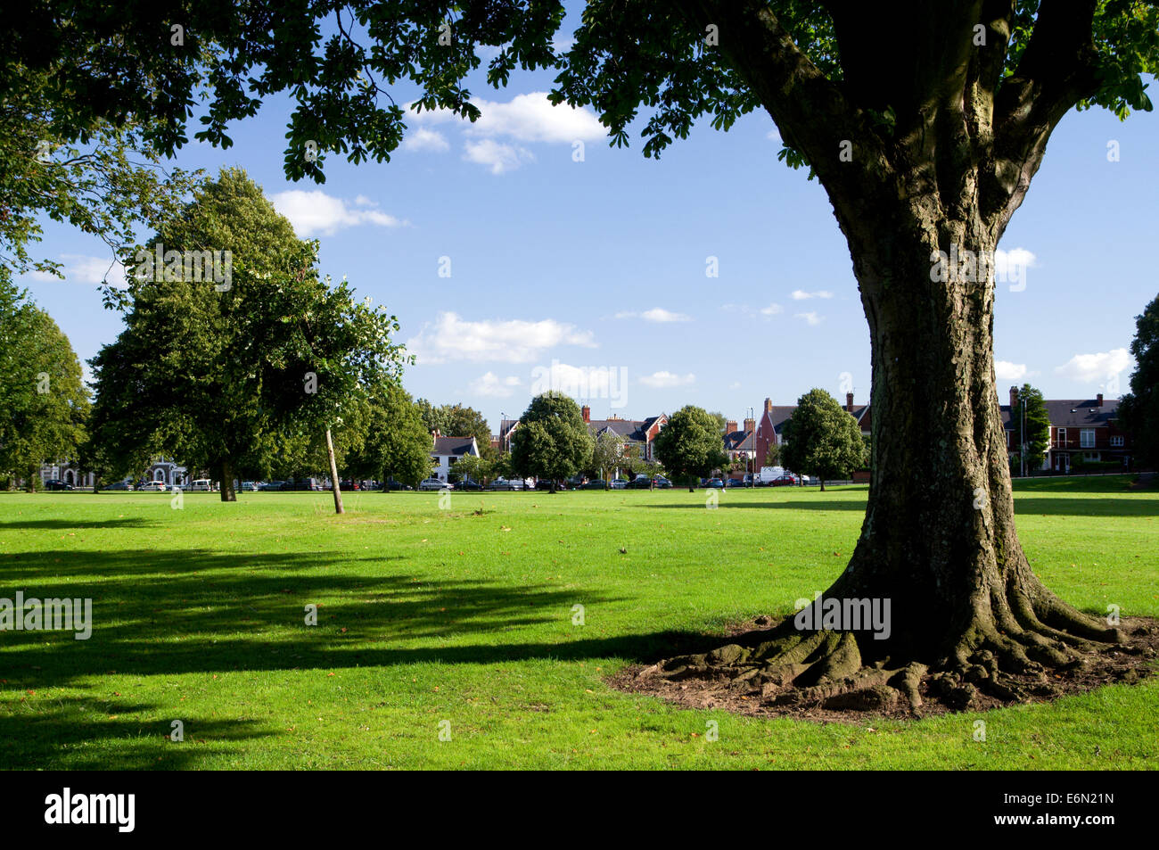 Llandaff fields hi-res stock photography and images - Alamy